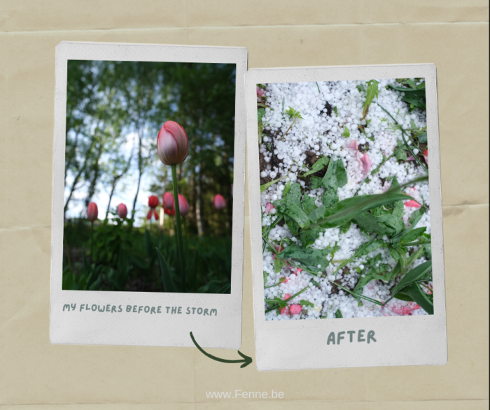 Fenne.be | window drawing with neon posca markers, www.Fenne.be