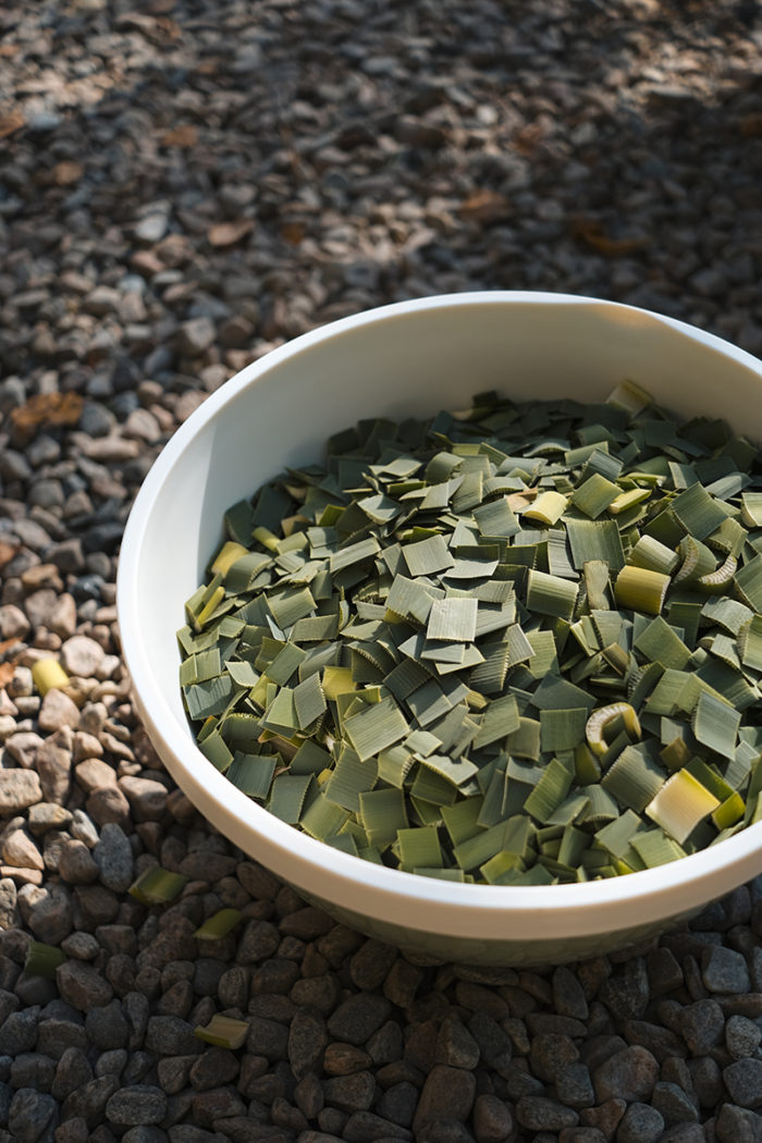 Fenne.be | Making handmade paper from cattail, DIY paper, nature craft ...