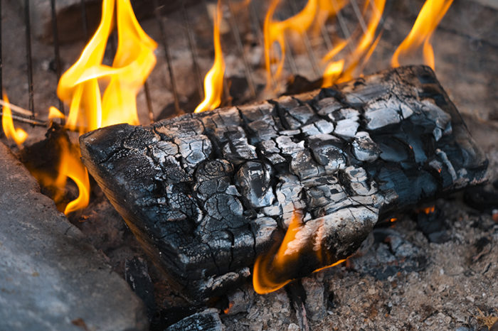 Fenne.be | Making handmade paper from cattail, DIY paper, nature craft ...