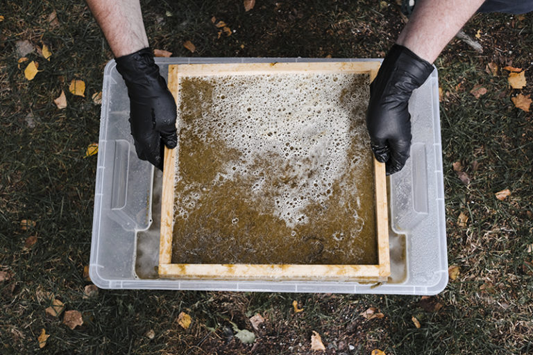 Fenne.be | Making handmade paper from cattail, DIY paper, nature craft ...
