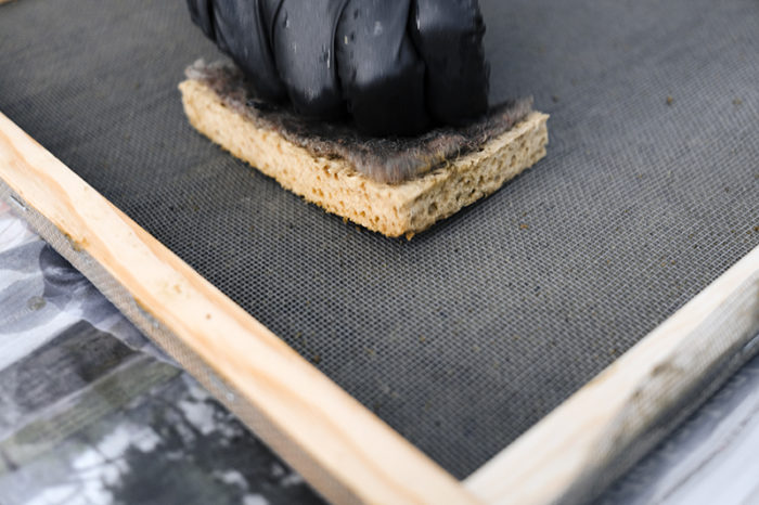 Fenne.be | Making handmade paper from cattail, DIY paper, nature craft ...