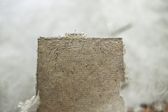 Fenne.be | Making handmade paper from cattail, DIY paper, nature craft ...