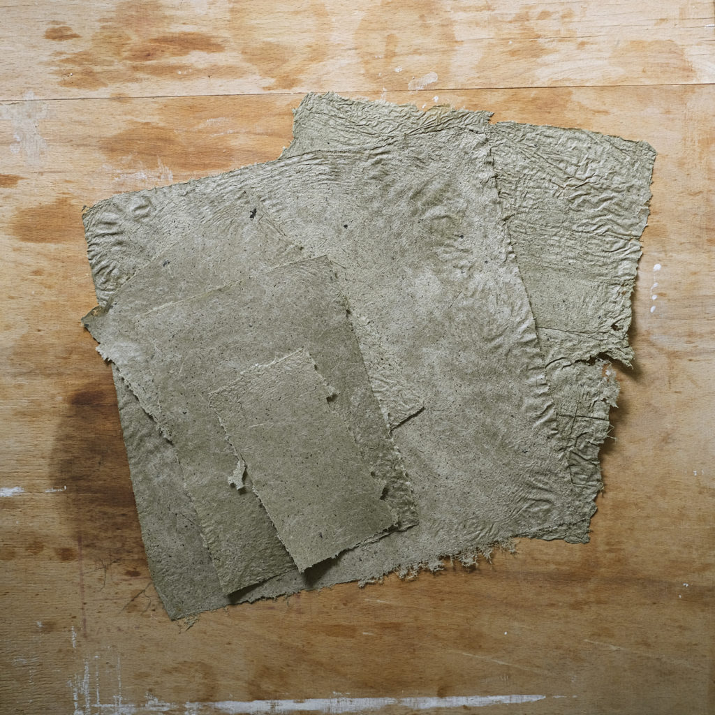 Fenne.be | Making handmade paper from cattail, DIY paper, nature craft ...