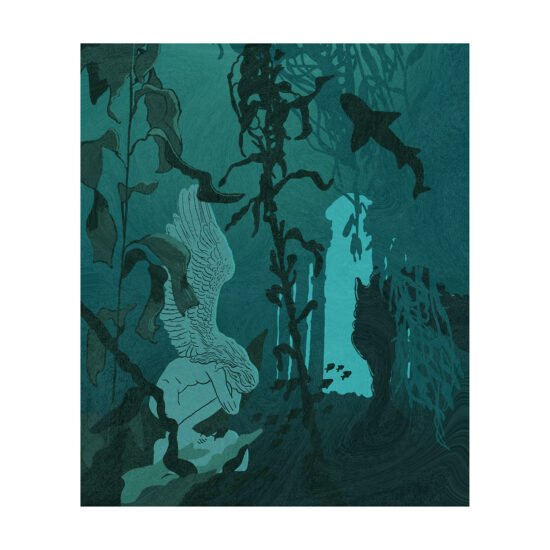 Fenne.be | Snowberry/ ghostberry, Symphoricarpos, nature photography ...